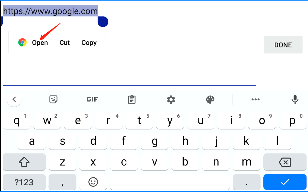 Step-by-Step Guide: How to Access Google Chrome on YoloBox to Install Speedify