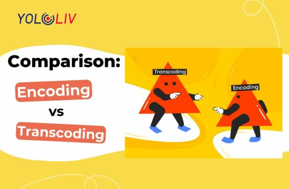 Encoding vs Transcoding: Understanding the Differences